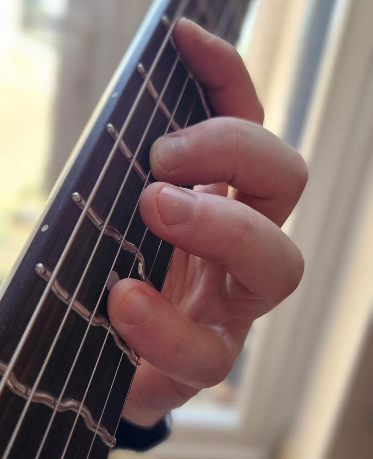 True Temperament wants to disrupt an industry built on heritage, but do ...