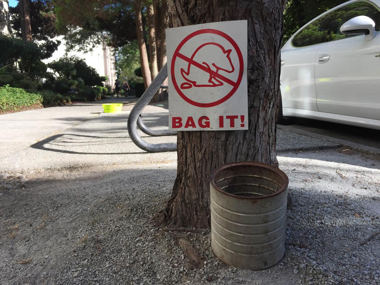 Which Vancouver neighbourhood saw the most dog poop complaints? New ...