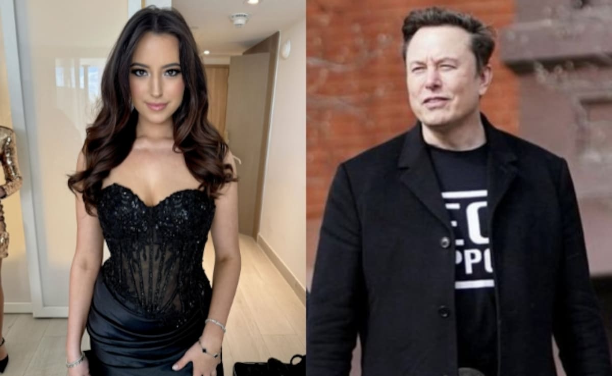 Elon Musk seeks full custody of son amid Ashley St Clair's pro ...