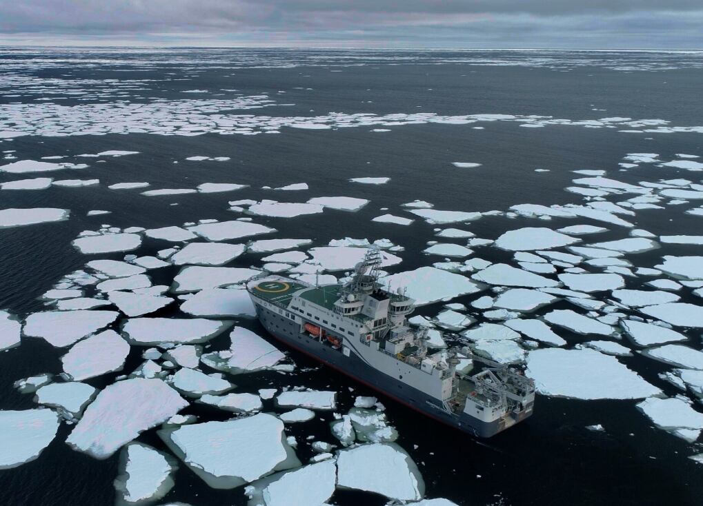 Científicos descubren un ‘oasis’ en el fondo marino de Ártico ...