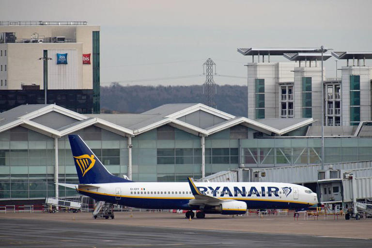 Ryanair calls on air traffic control CEO to resign after huge ...