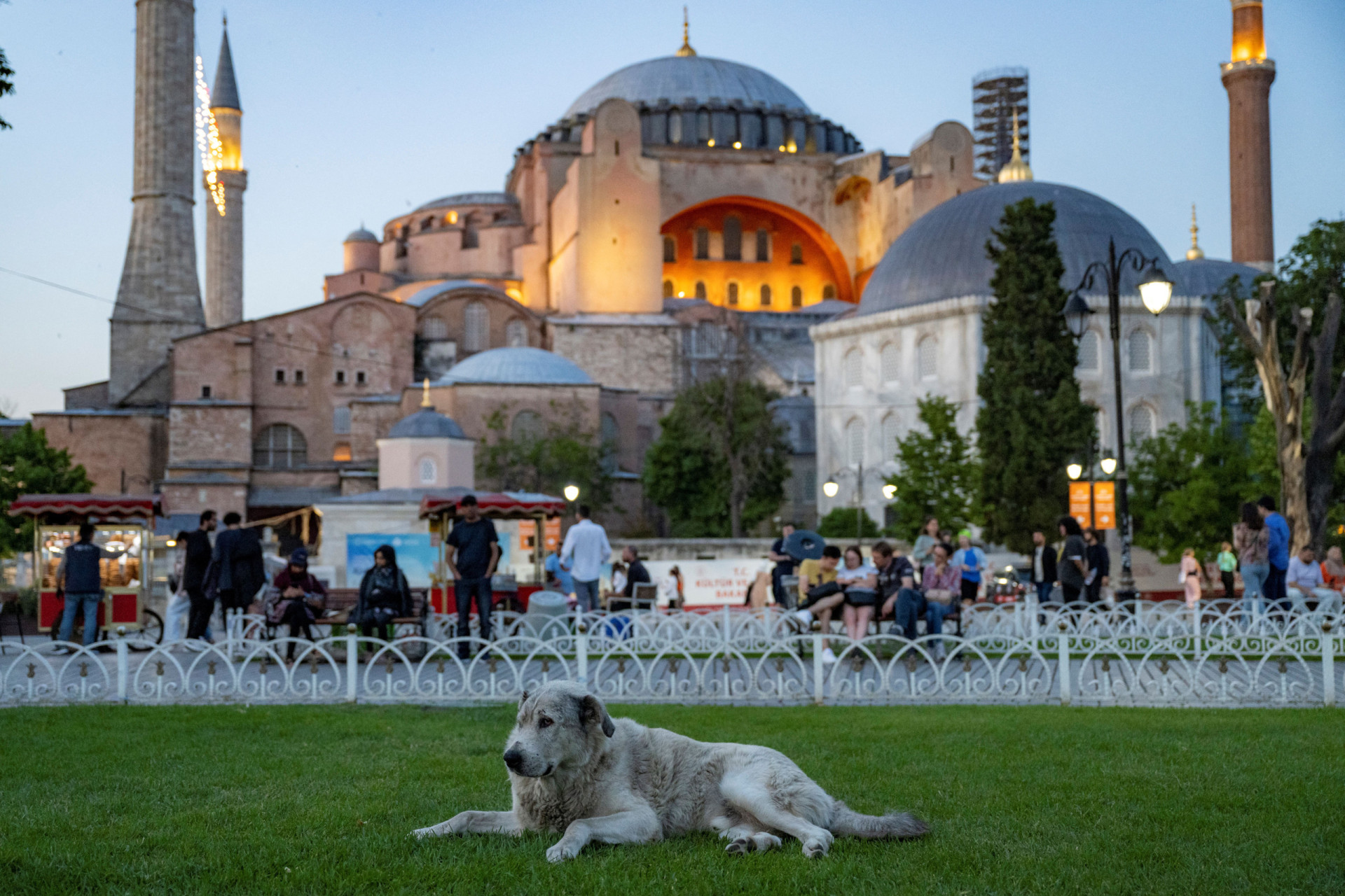 Places with more animals than humans
