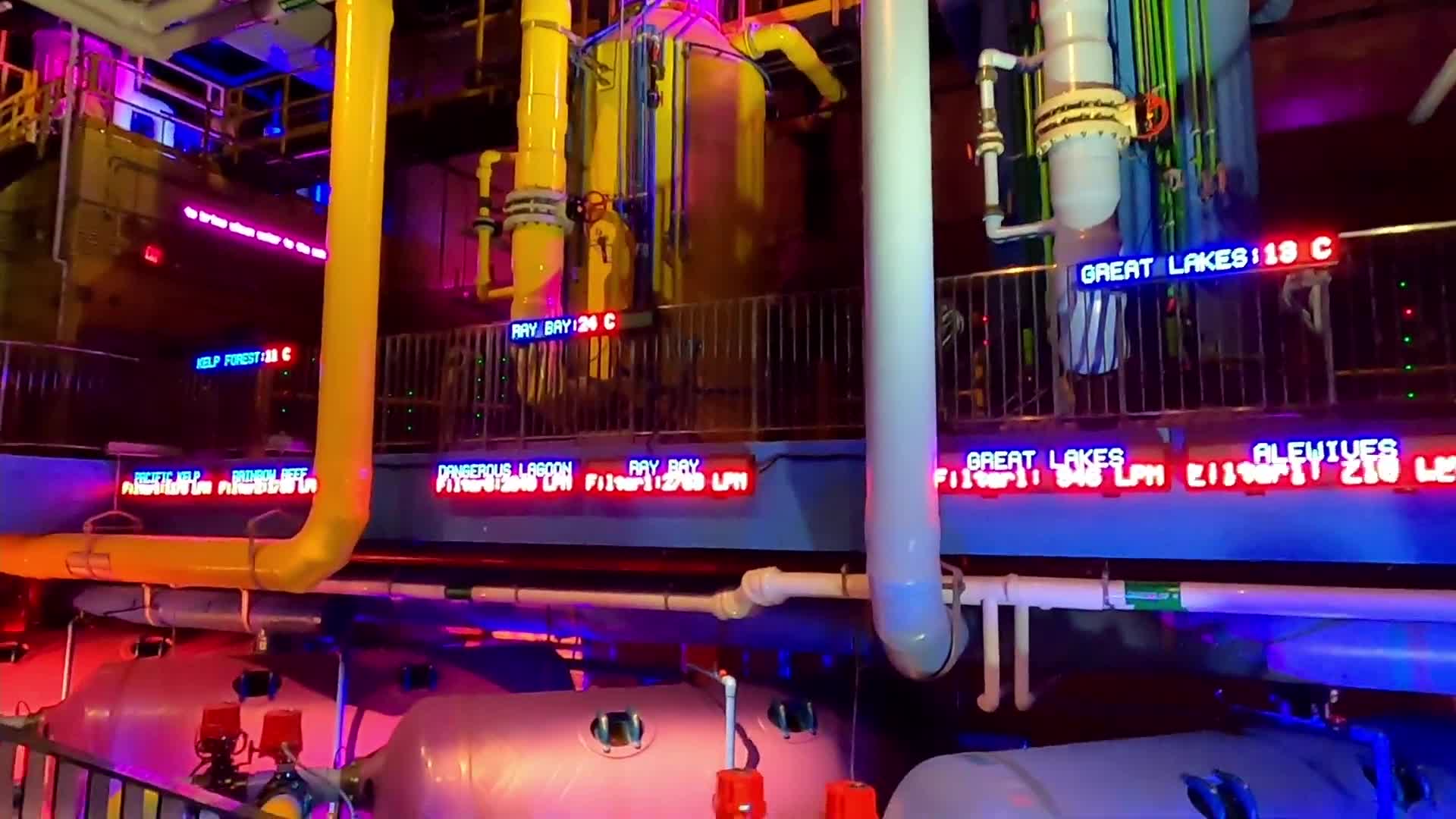 Epic day in Toronto! Ripley’s Aquarium & the Rec Room adventure | Best ...