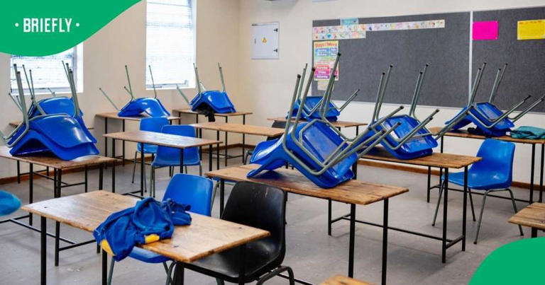 50 Limpopo learners take on Department of Education in court over ...