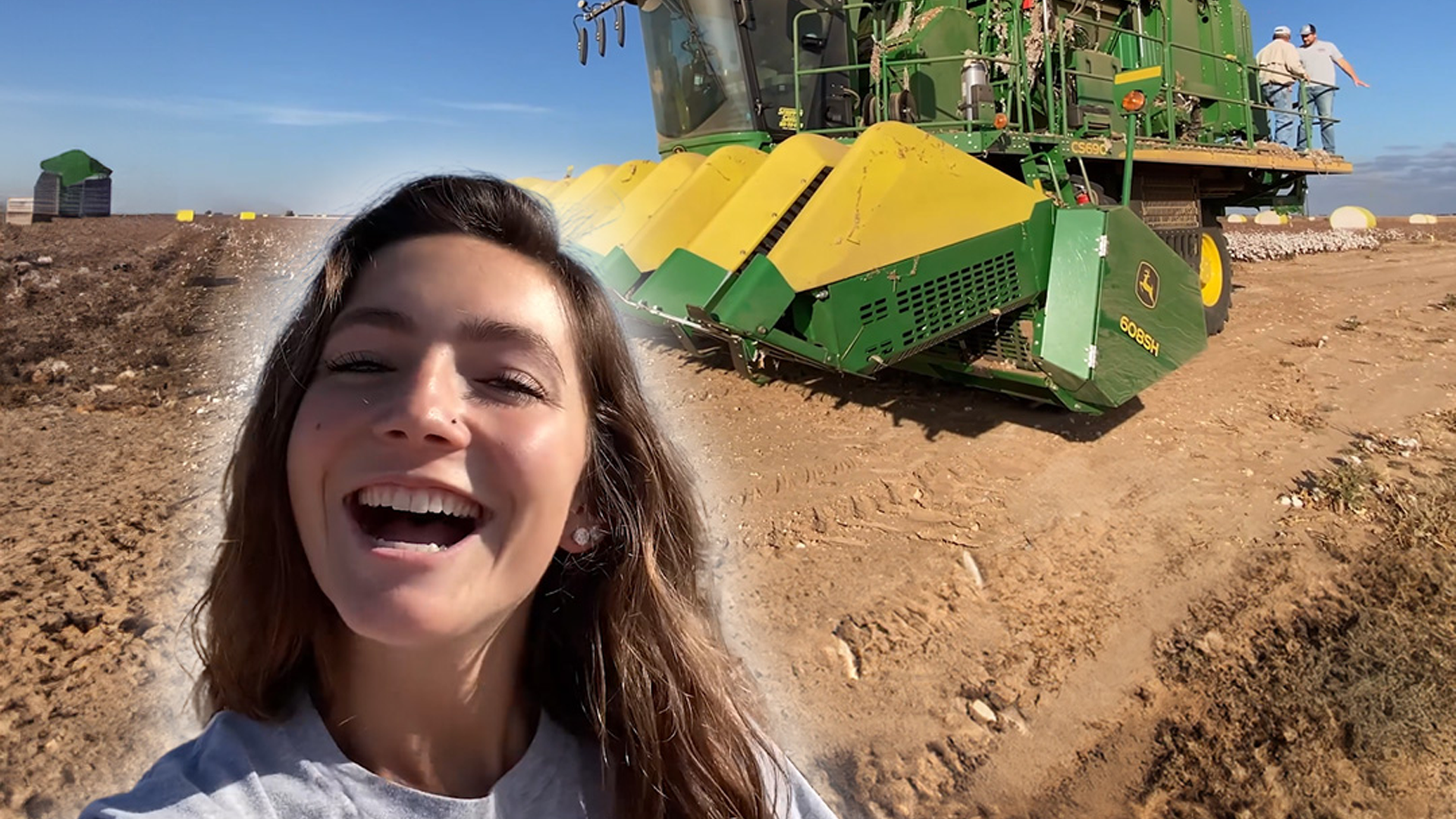 This is how cotton is made