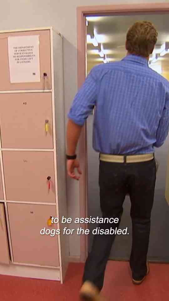 This is how animals are getting a second chance at life