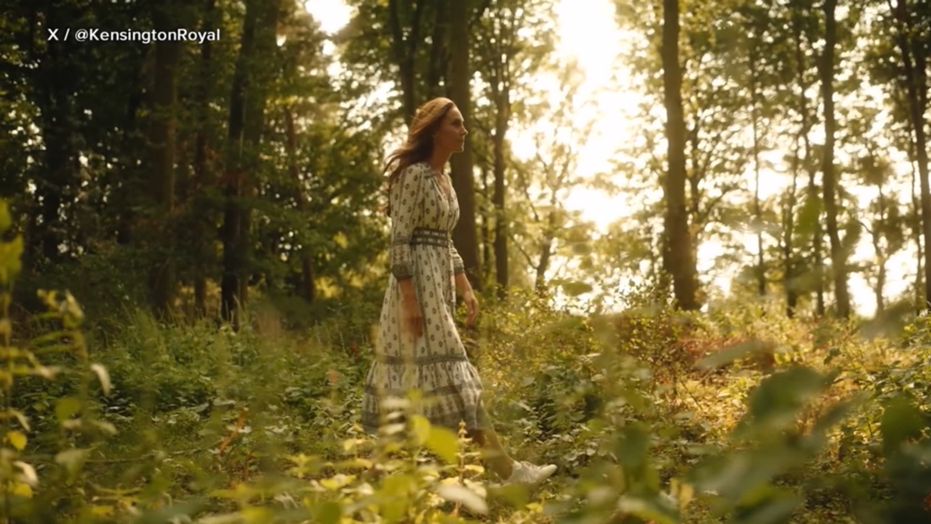 Princess Kate 1 year after remission announcement