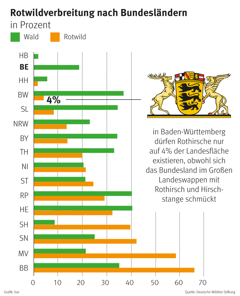 König des Waldes – wider Willen