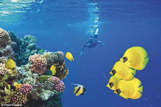 How holidaymakers can save hundreds by taking advantage of Egypt's ...