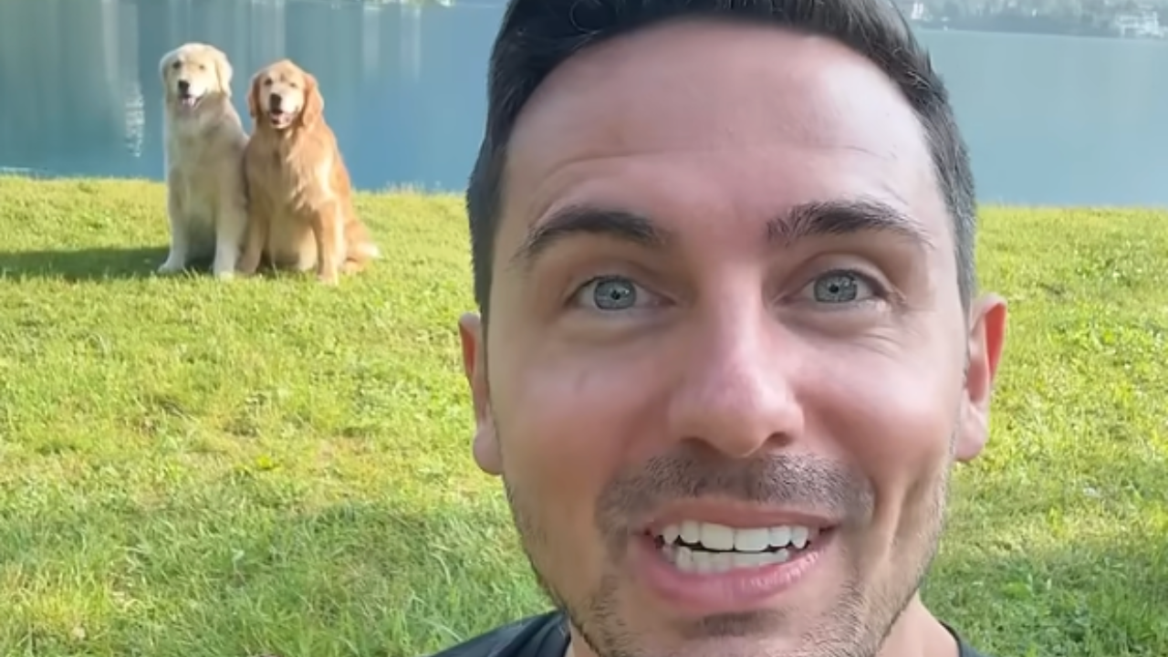 Not all selfies go as planned