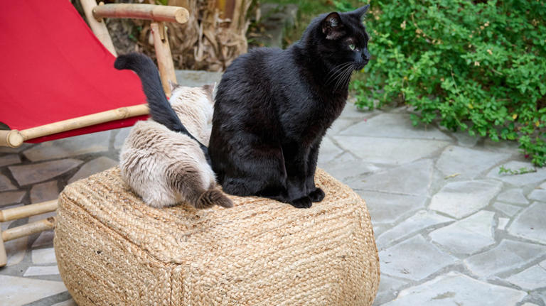 Upgrade your small patio with these space-saving coffee table alternatives