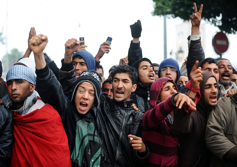 From the ashes of the Arab Spring