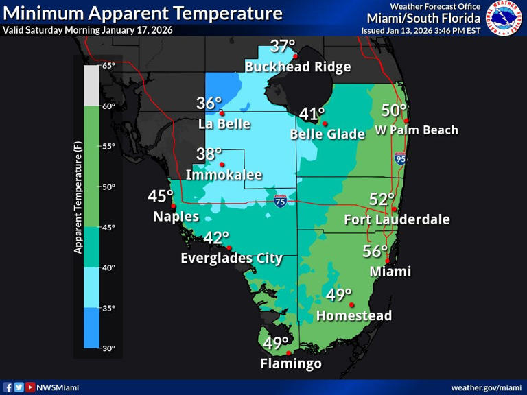 Cold blast to hit Naples, Florida. How low will it go? See the forecast