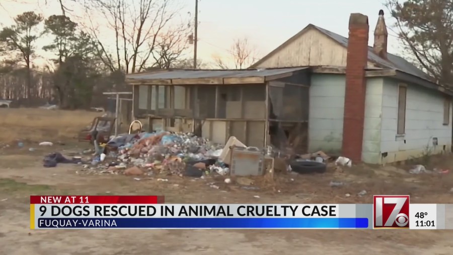 North Carolina man accused of tormenting, starving 9 dogs