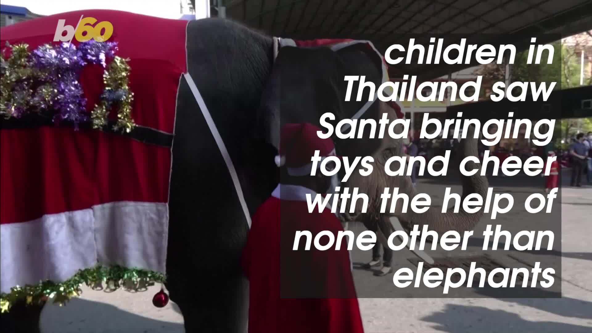 Elephant Santas spread holiday cheer at a Thai school