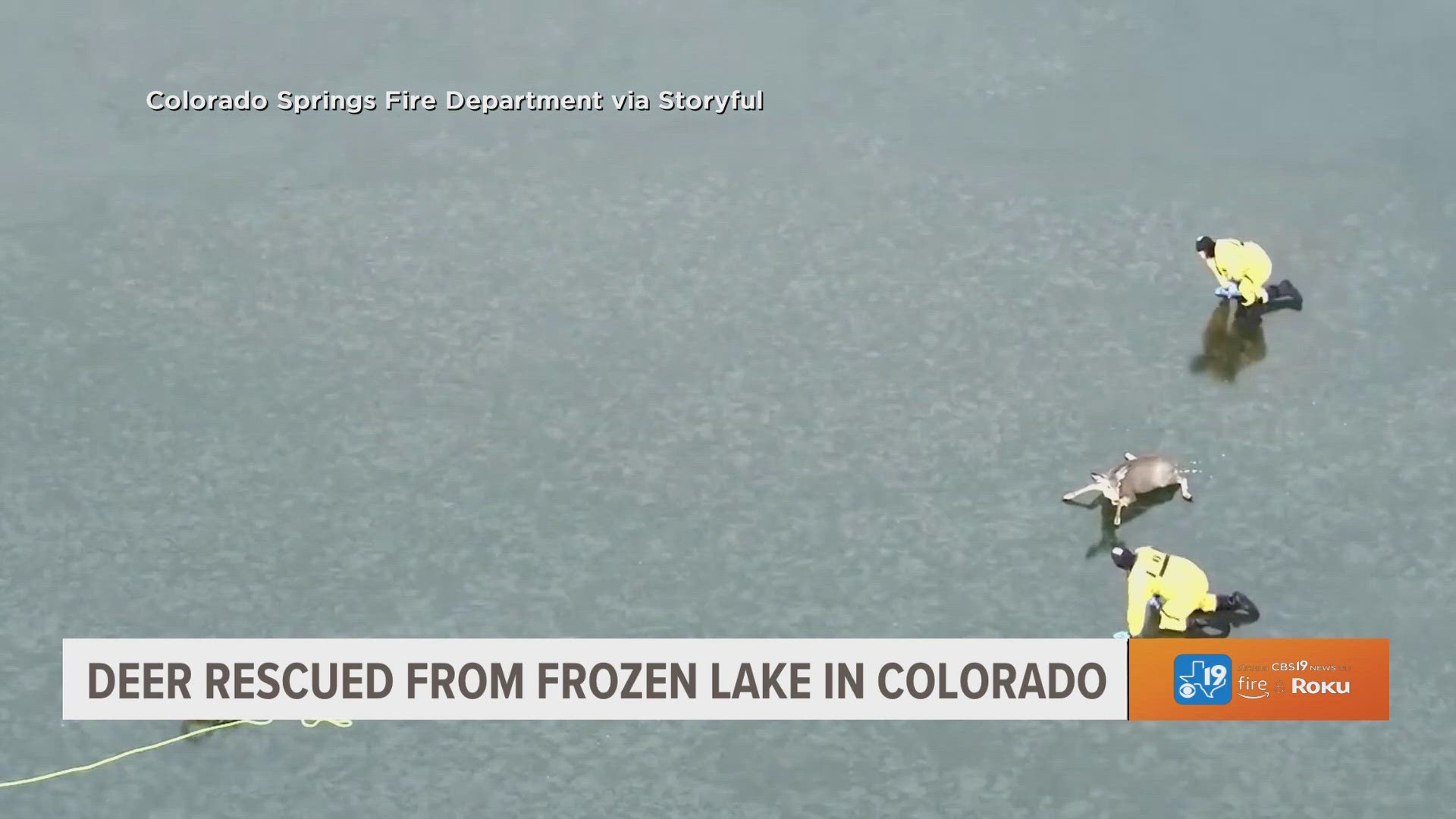 Deer rescued from frozen lake in Colorado