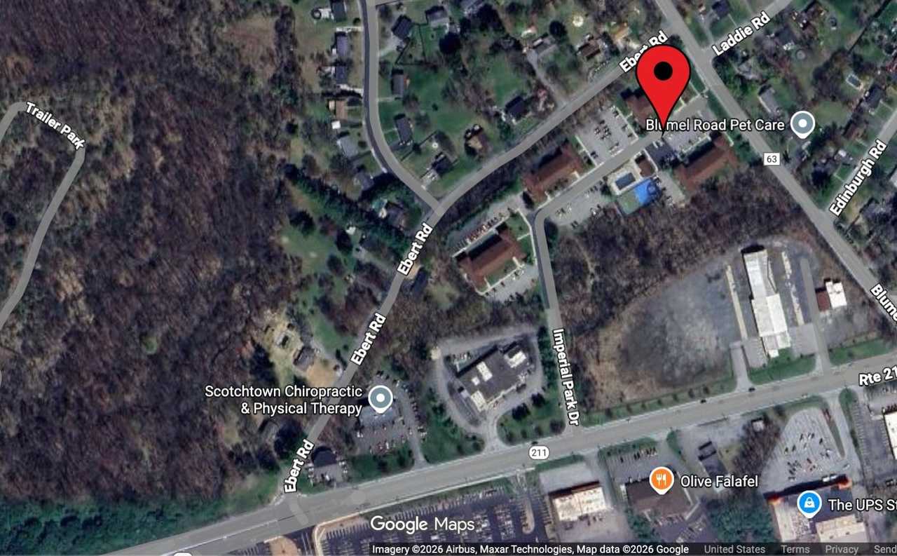 Correction officer arrested after firing rifle round in Orange County ...