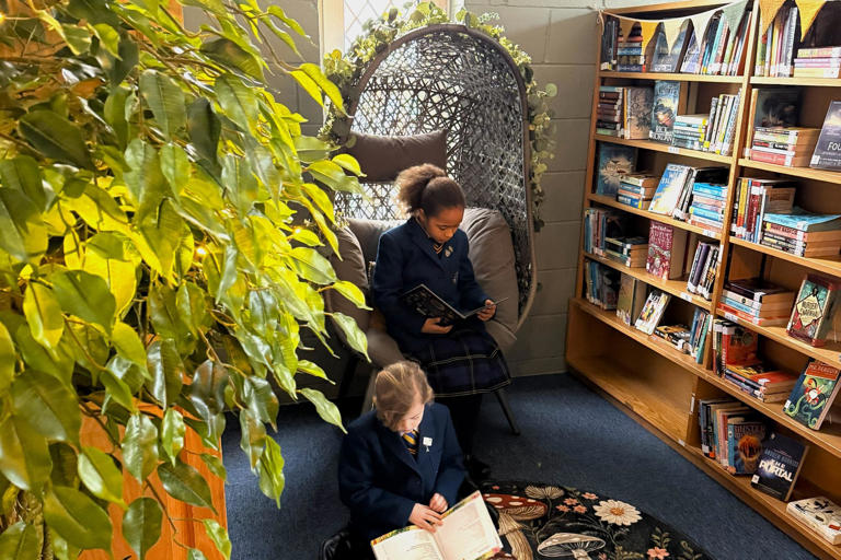 Woodland Wonderland library opens at Terrington Hall Prep School near ...