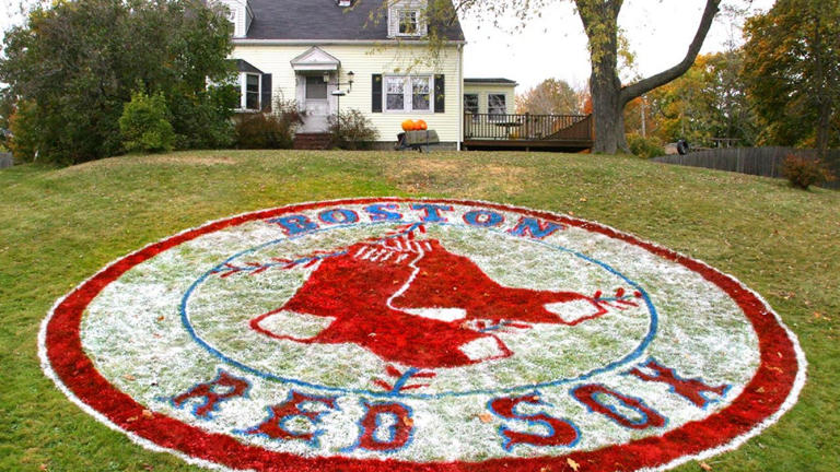 Yard-core! Superfans show team spirit through lawn art