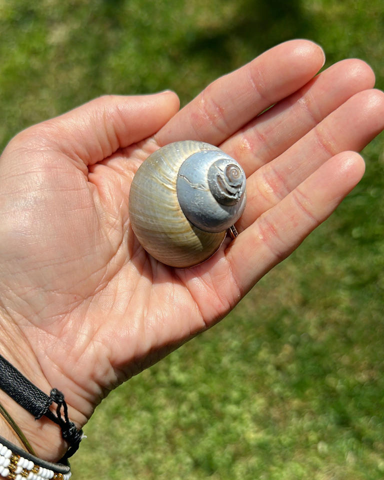 Losing everywhere I've been in the Palisades fire