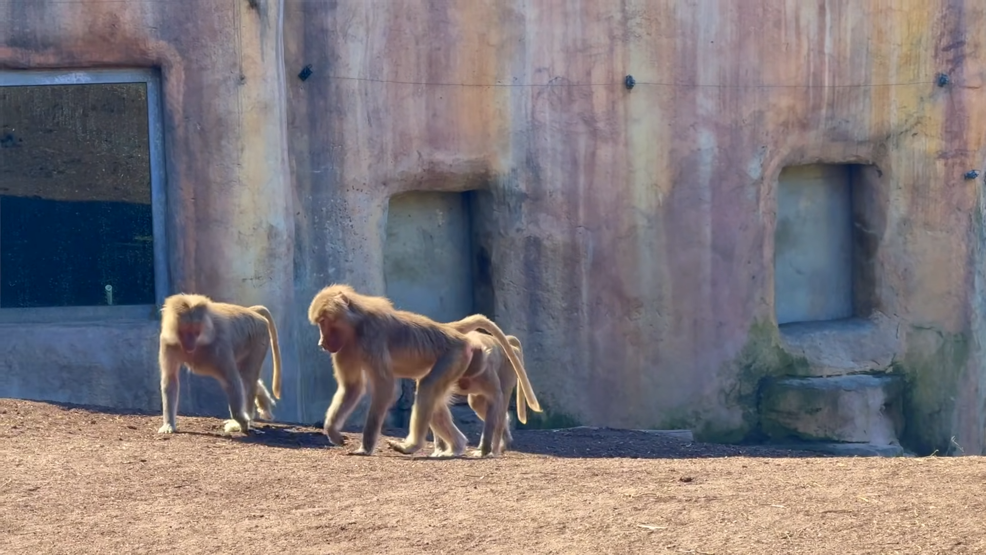 We weren’t sure what to expect from a Mexican Riviera cruise until we ...