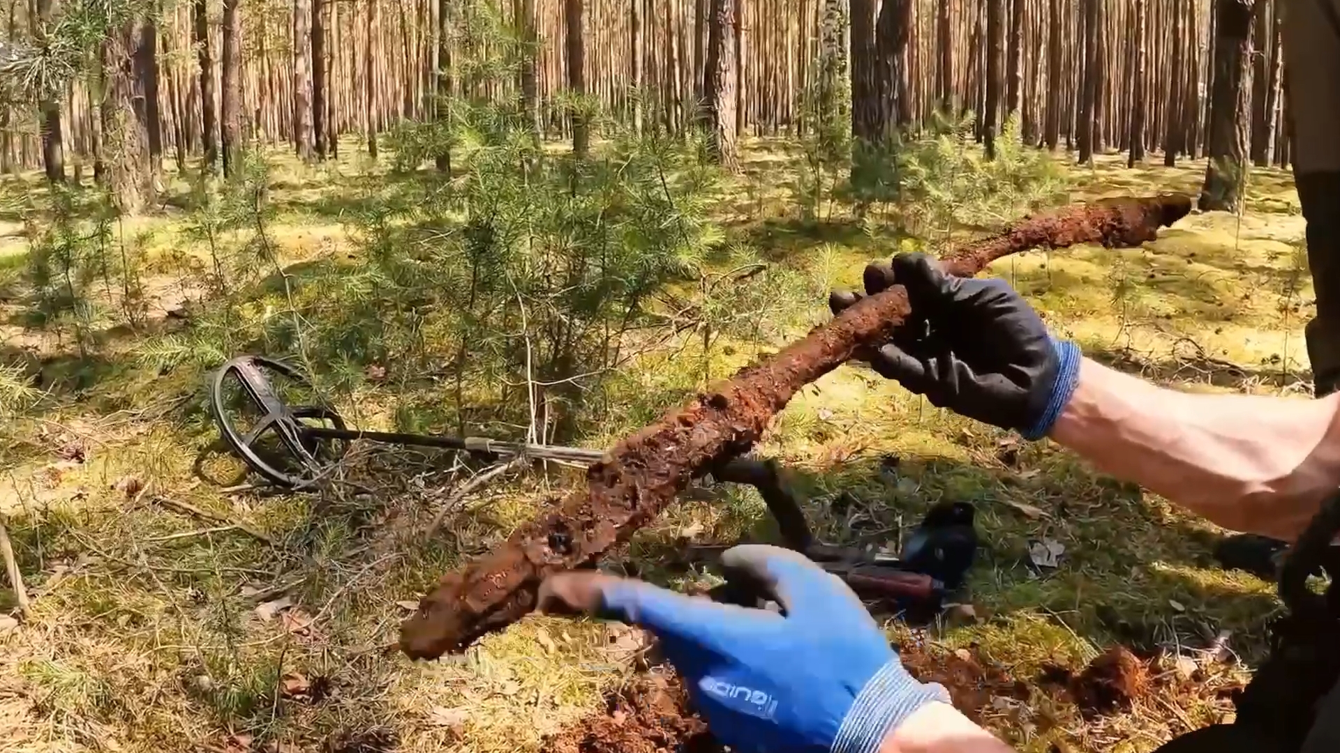 Remains of a disbanded Panzer division found in forests of the Eastern ...