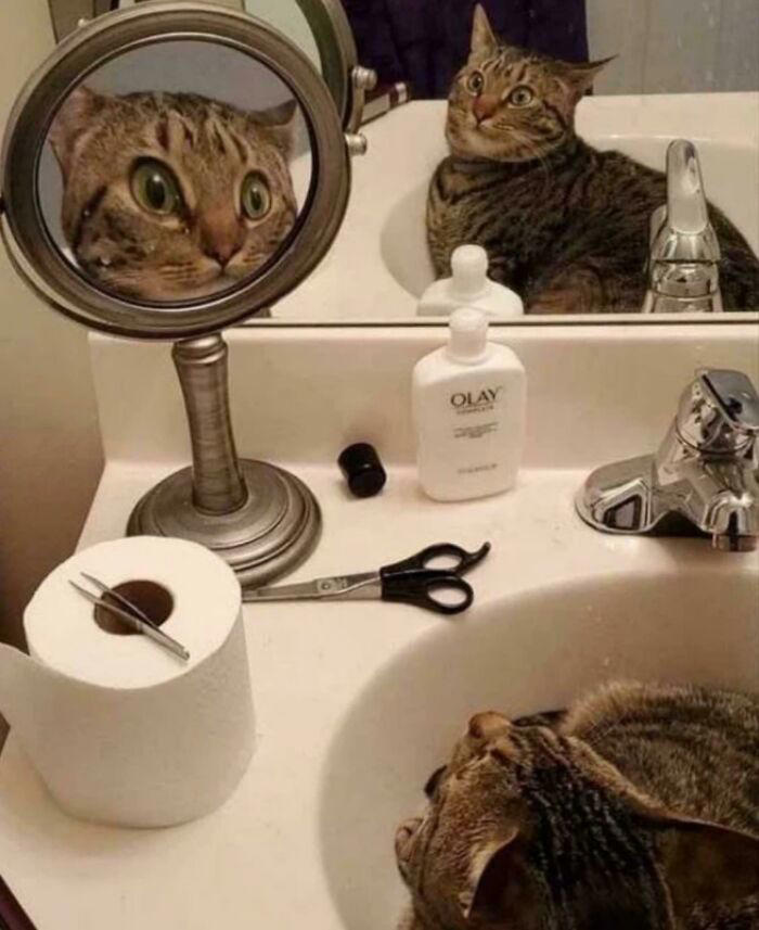 45 unexplained images that challenge visual perception