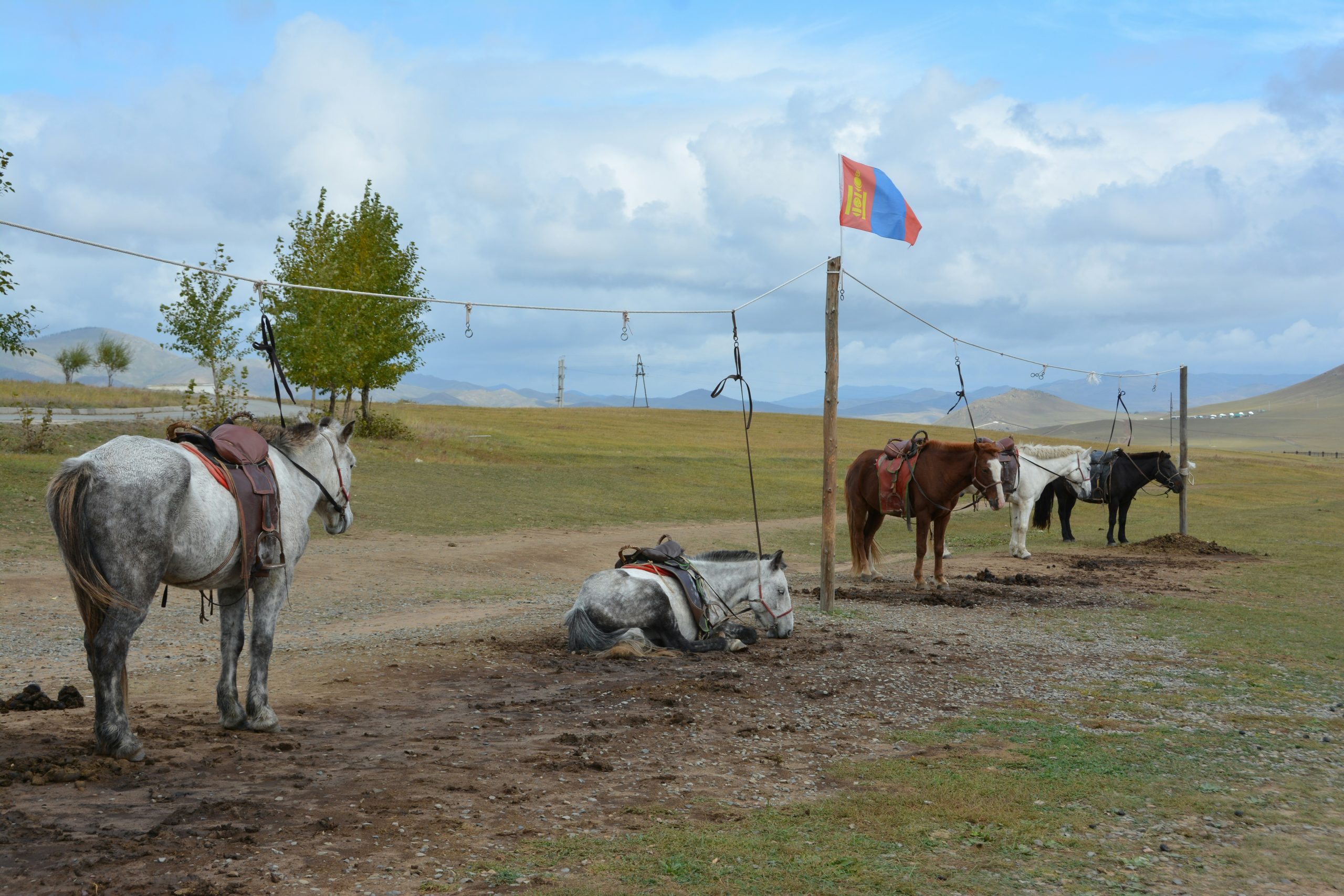 Reasons to visit Mongolia for your next trip