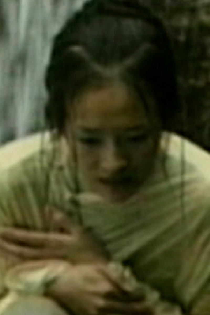 Why 'Crouching Tiger, Hidden Dragon' redefined martial arts cinema