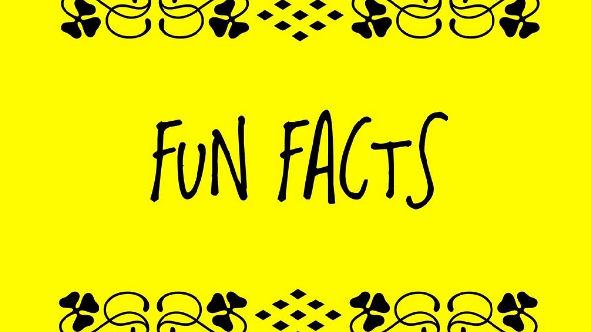 20 fun facts about sleep