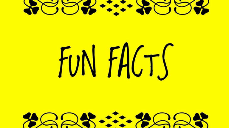 20 fun facts about sleep