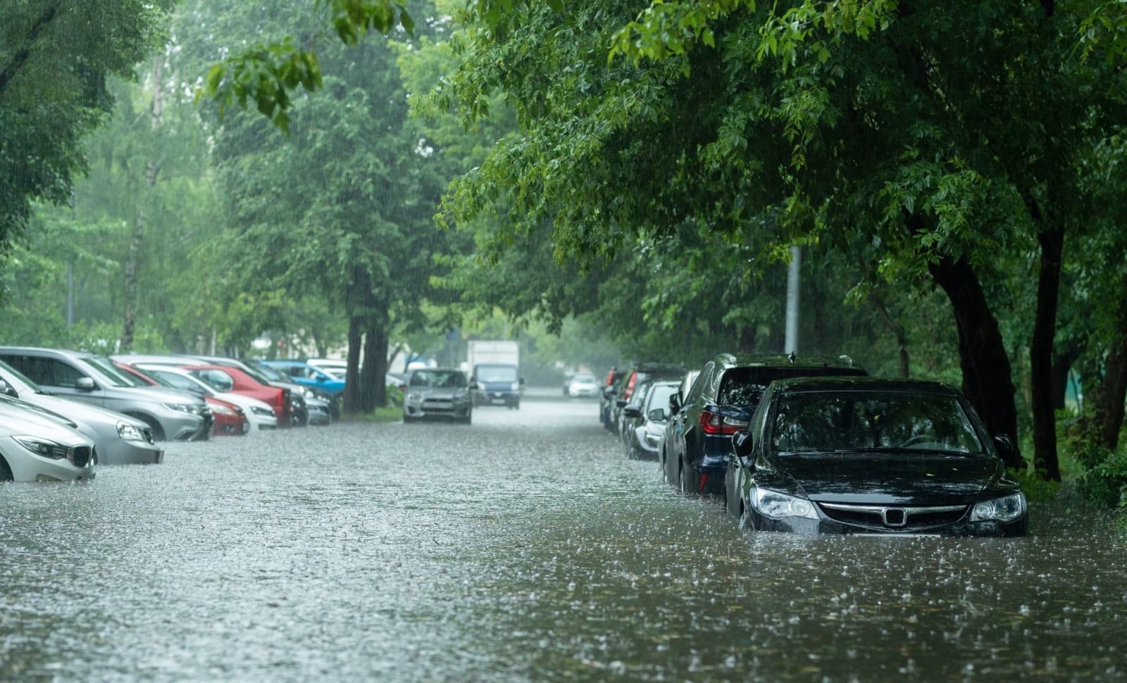 Met Office yellow warning raises fears of travel chaos and more ...