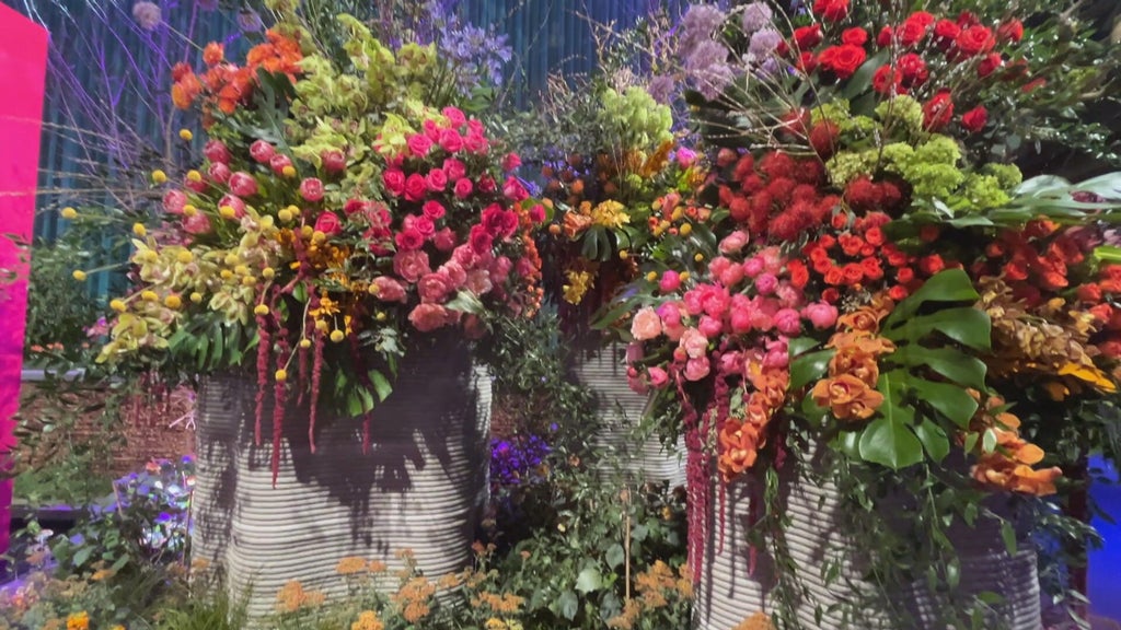 2026 Philadelphia Flower Show to celebrate history and traditions of ...