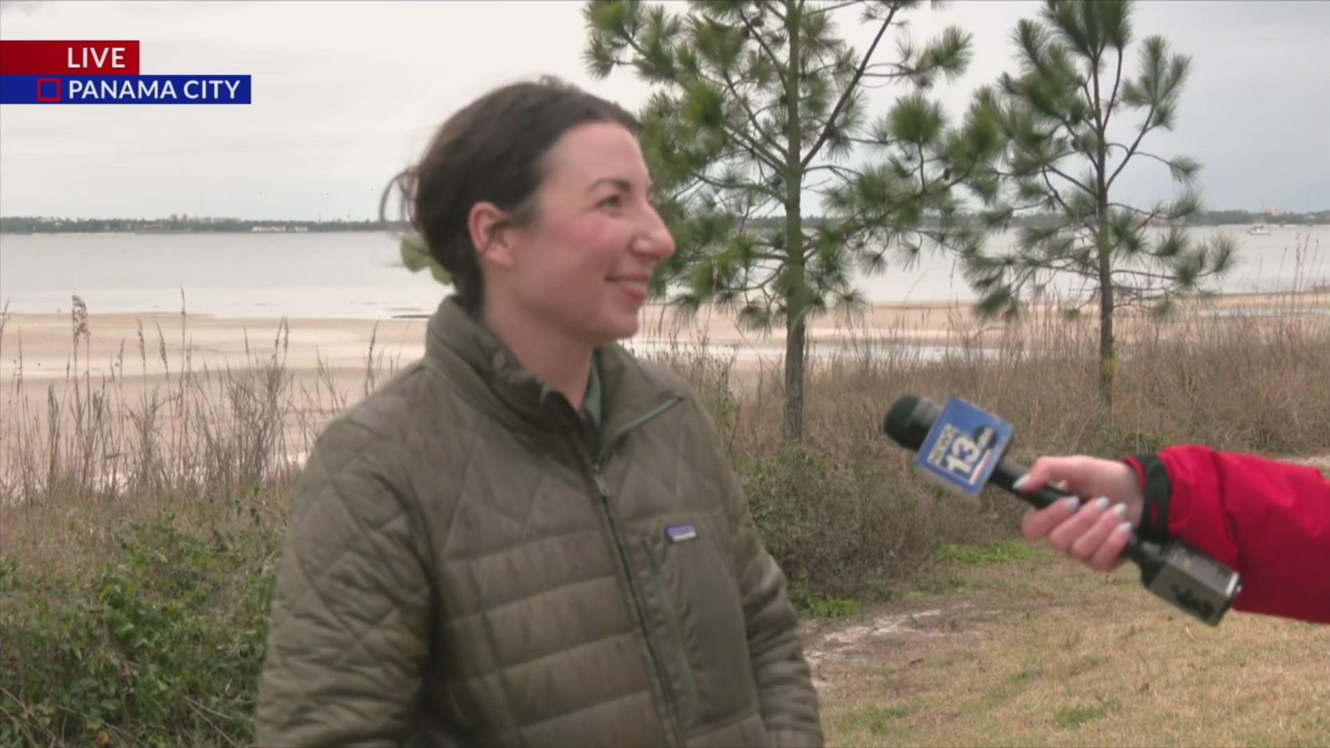 Florida-Friendly landscaping tips from local expert