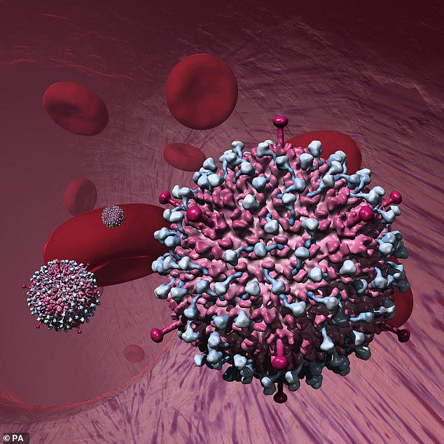 Lost your voice and can't stop coughing? You might have adenovirus