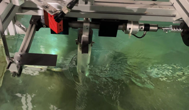 A pendulum-based system allows energy to be extracted from ocean currents