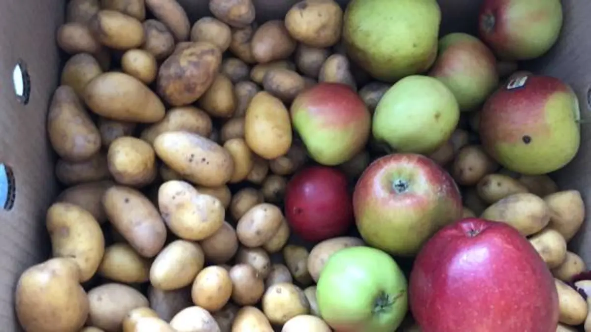 Por qué hay que guardar las manzanas junto a las patatas en la despensa