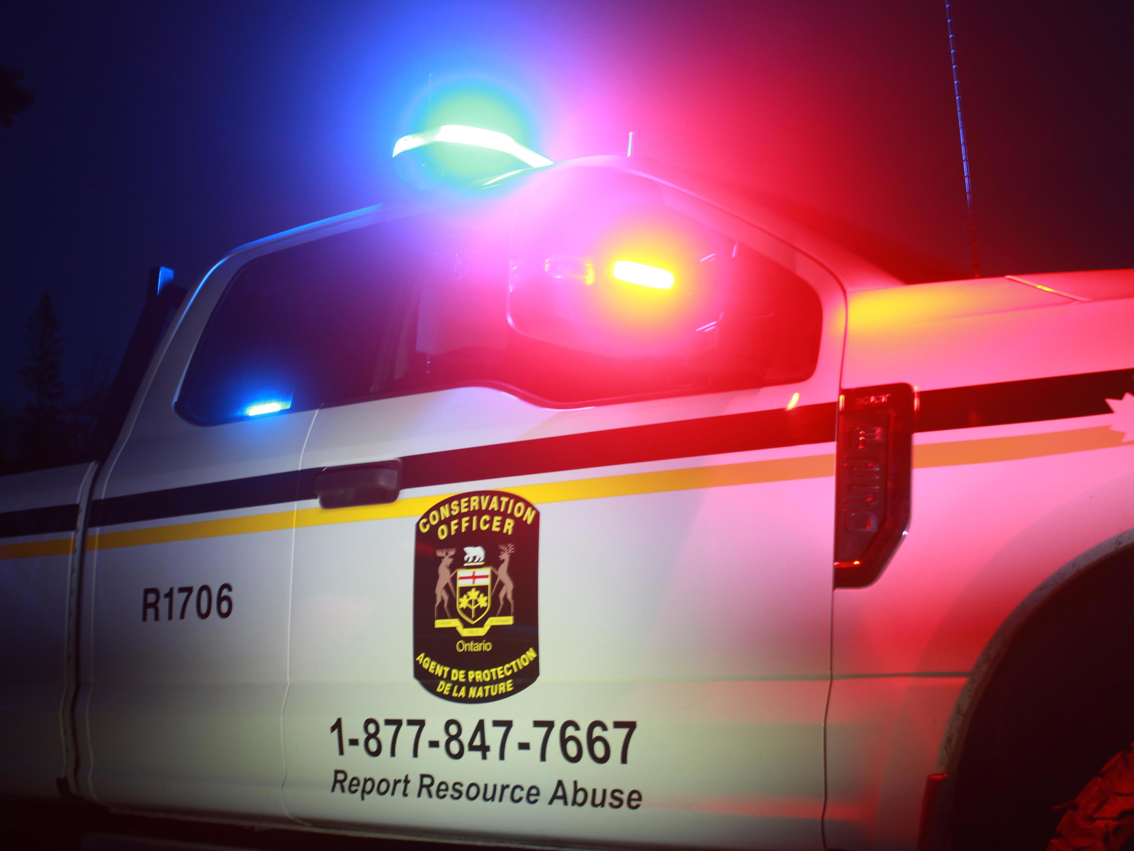 Un cerf tué avec une flèche dans un cimetière à Toronto