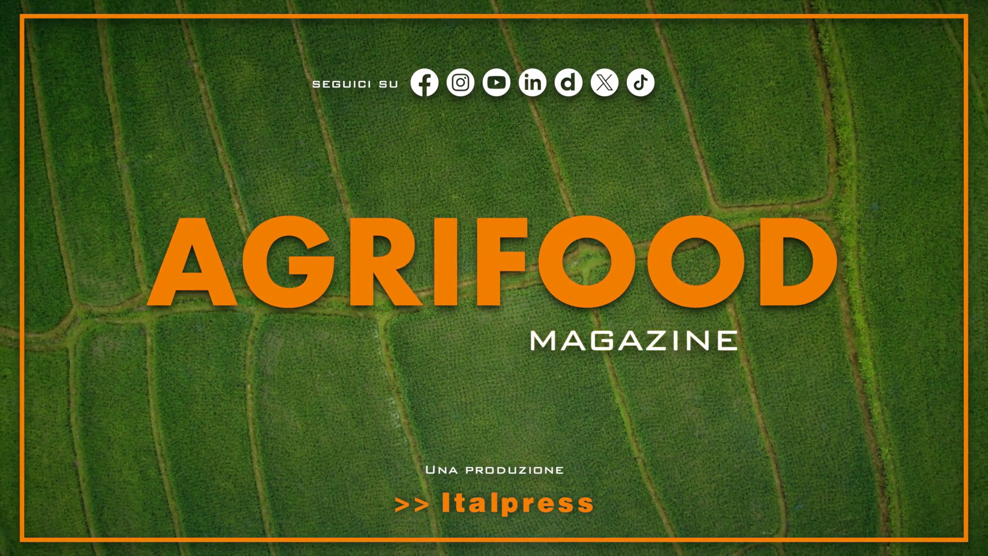 Agrifood magazine - 14/1/2026