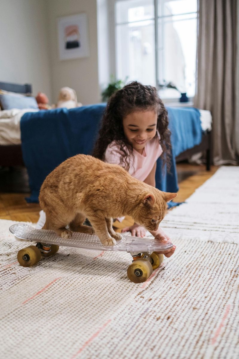 8 cat breeds that enjoy interactive play and puzzle toys