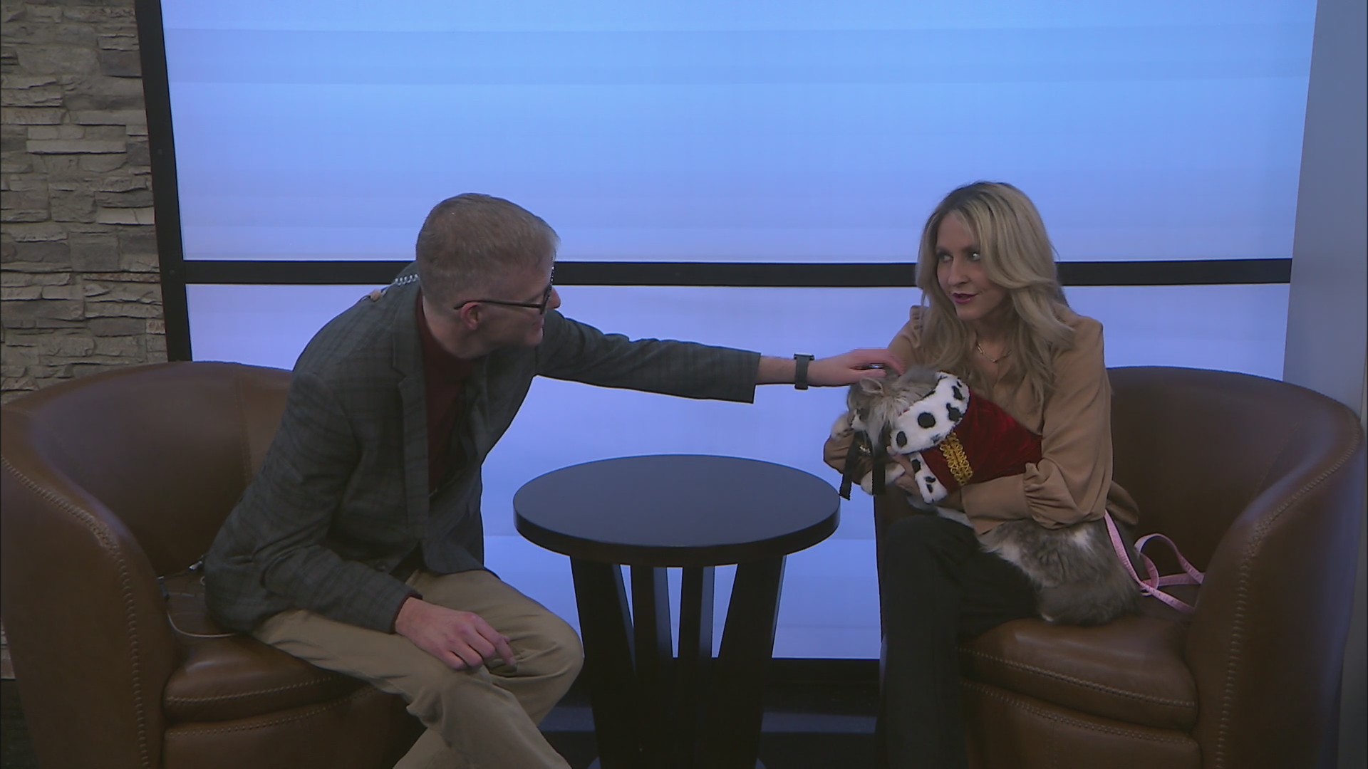 Pet of the week: Mr. Fuzzinator