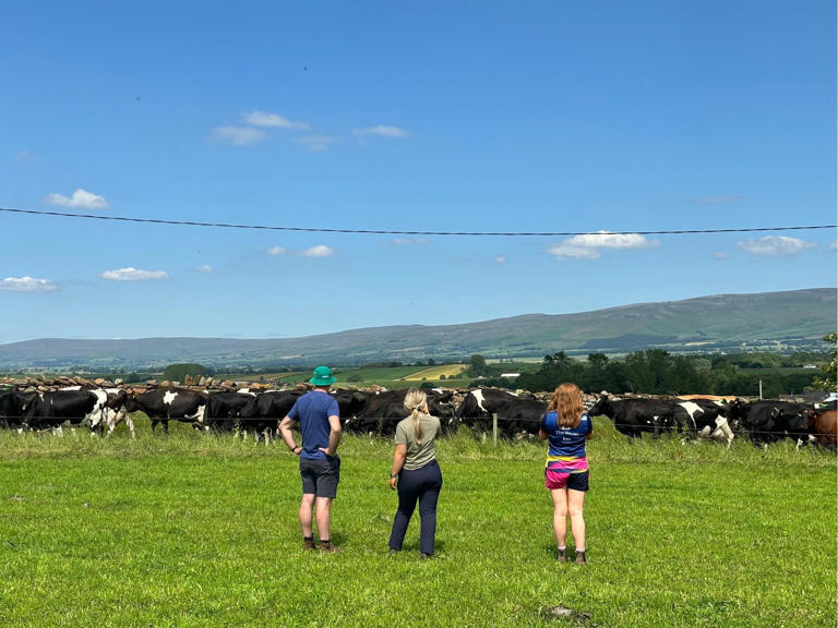 Applications for 2026 Nuffield Farming Next-Gen Scholarships now open