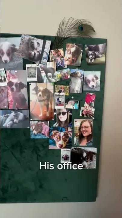 Signs he loves me: office decor & custom shirt