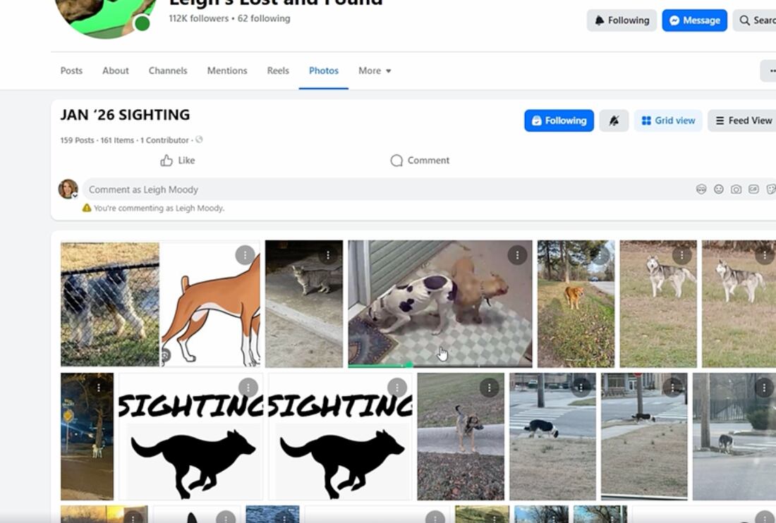 Leigh’s Lost and Found digital extra: New feature added to Leigh’s Lost ...