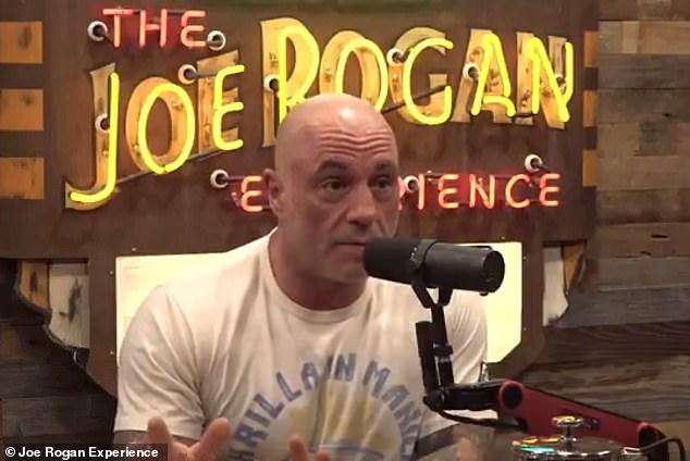Elon Musk savages 'idiot' Bono over 'lies' about DOGE on Joe Rogan
