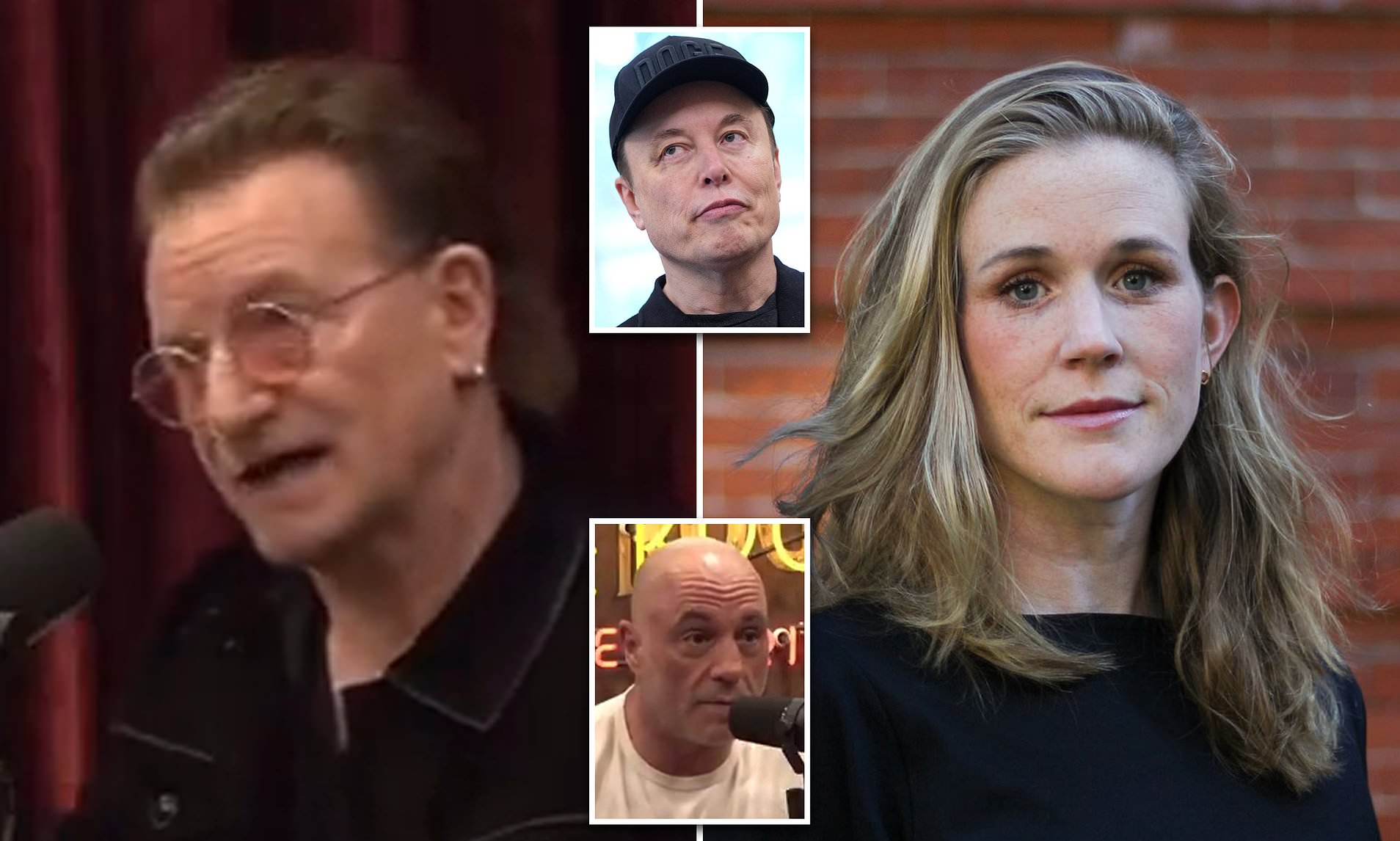 Elon Musk savages 'idiot' Bono over 'lies' about DOGE on Joe Rogan