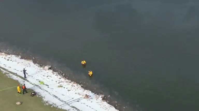 Watch: Injured, exhausted deer rescued from middle of frozen reservoir ...