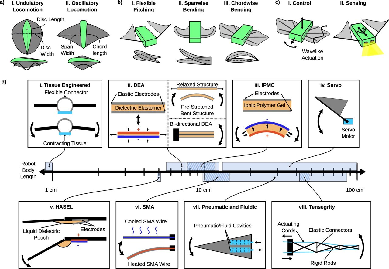 Underwater robots inspired by nature are making progress, but hurdles ...