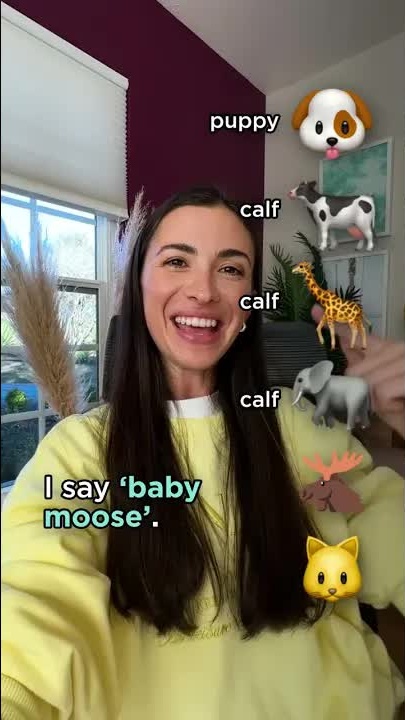 Name these baby animals in English!