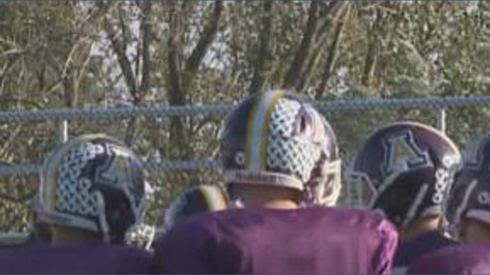 Medina, Albion consider merging football teams